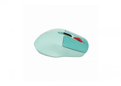 CANYON mouse MW-26 LCD Silent Dual Mode Wireless Green | Frog